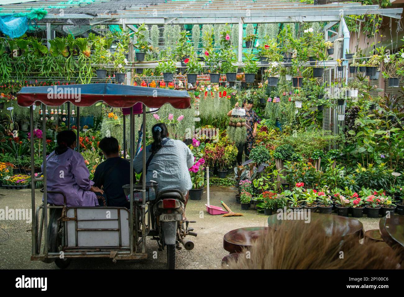 Border market hi-res stock photography and images - Alamy
