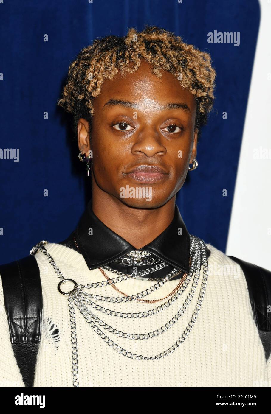 HOLLYWOOD, CALIFORNIA - MARCH 02: Austin Crute attends the Los Angeles ...