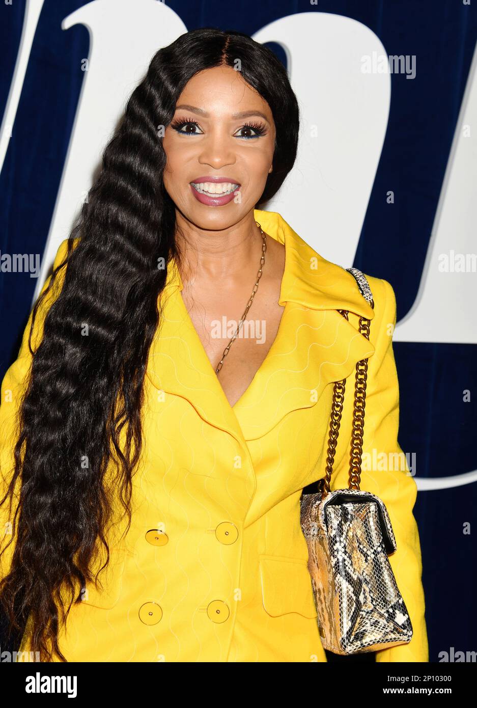 HOLLYWOOD, CALIFORNIA - MARCH 02: Elise Neal attends the Los Angeles ...