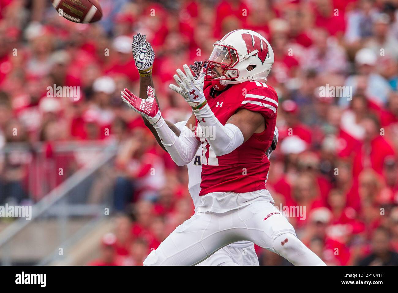 10 September 2016: Wisconsin Badgers wide receiver Jazz Peavy (11 ...