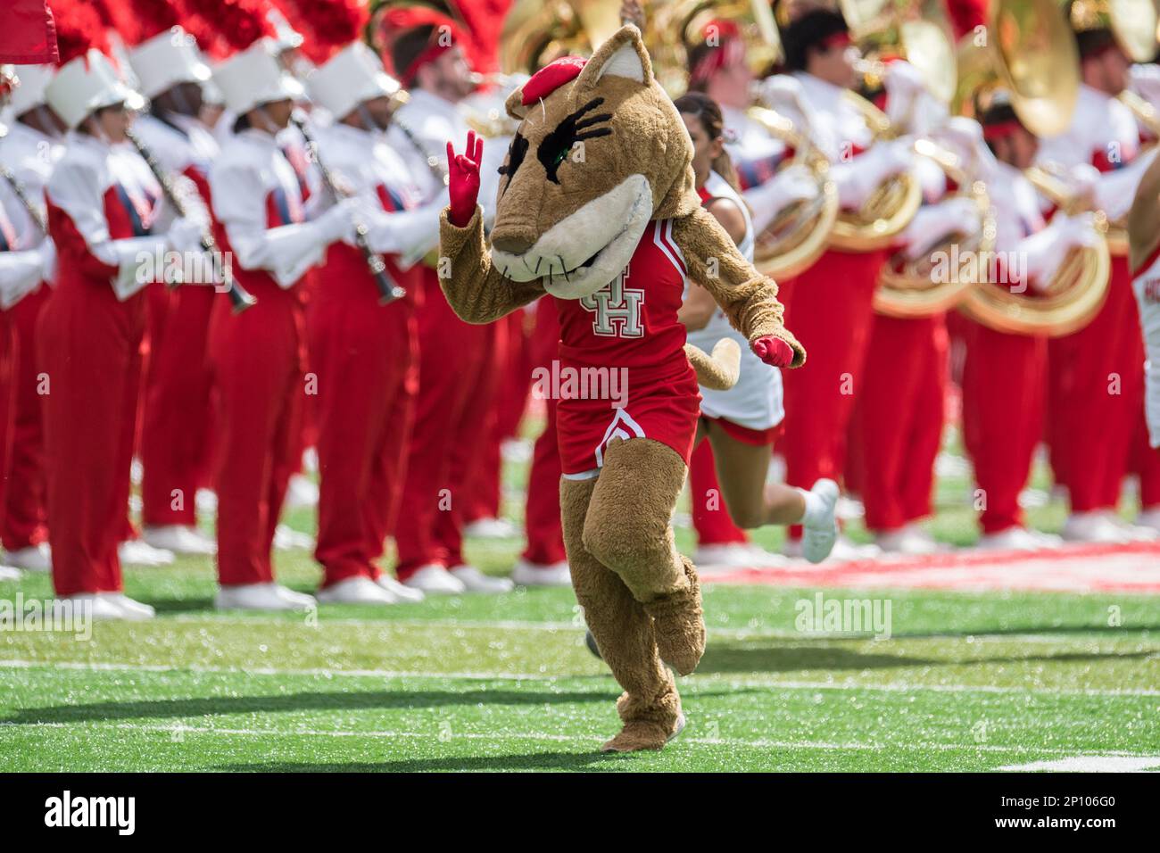 September 10, 2016: Houston Cougars mascot Sasha enters the field prior ...