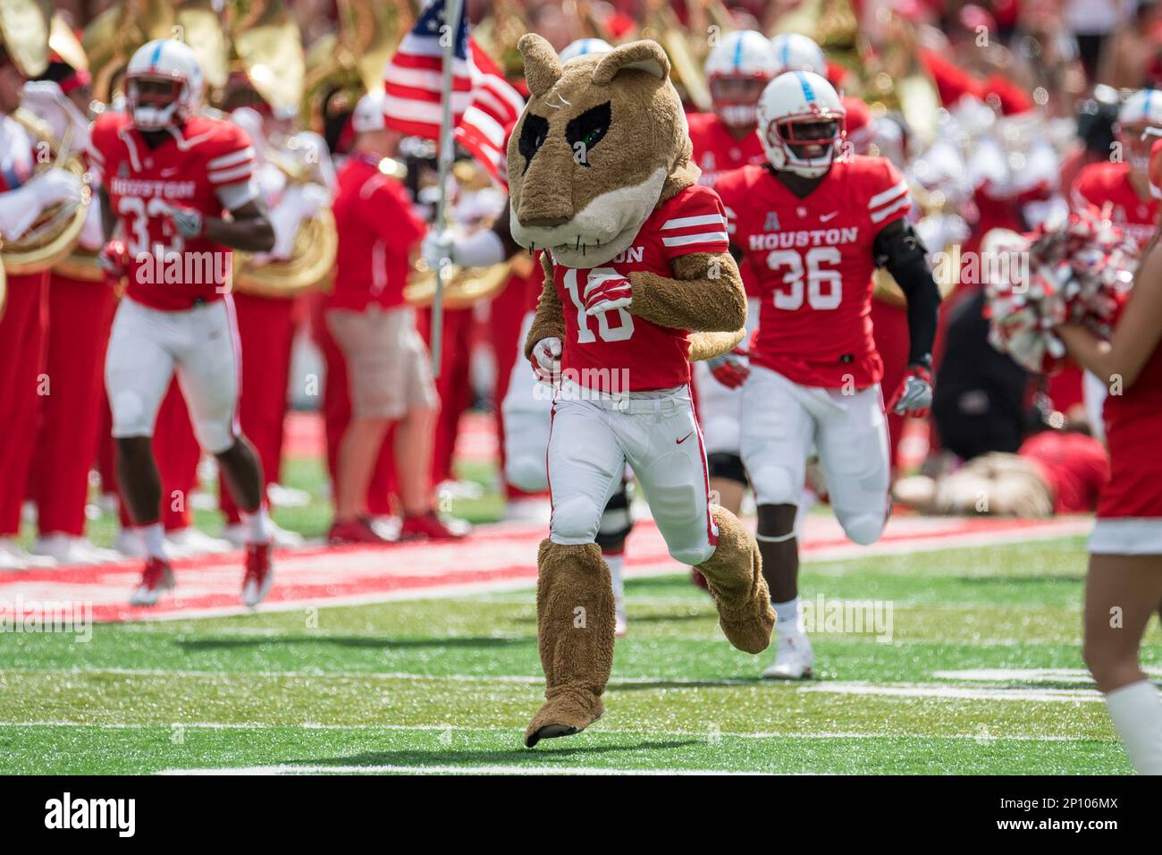 September 10, 2016: Houston Cougars mascot Shasta enters the field ...