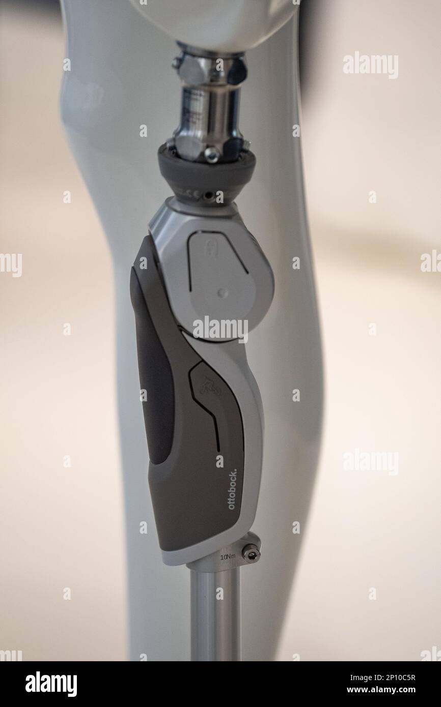 Duderstadt, Germany. 02nd Mar, 2023. A mechanical knee prosthesis joint ...