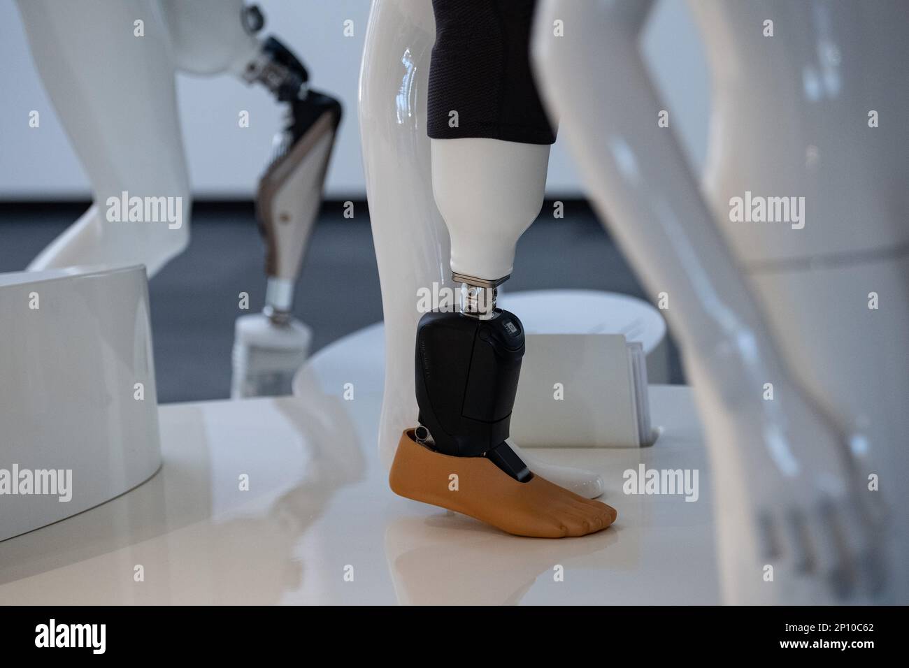 Duderstadt, Germany. 02nd Mar, 2023. A microprocessor-controlled foot ...