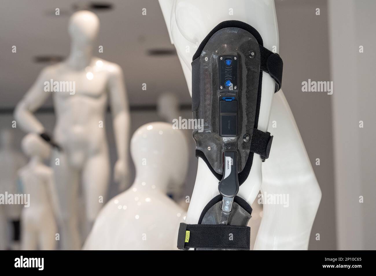 Duderstadt, Germany. 02nd Mar, 2023. An electromagnetic knee joint ...