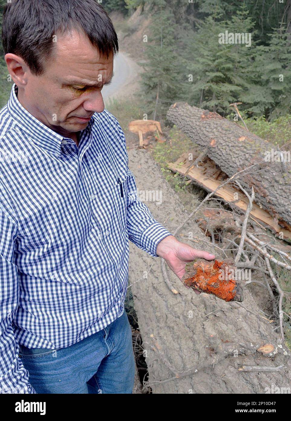 In this Sept. 2016 photo, Paul Harlan, chief forester of Collins Pine ...