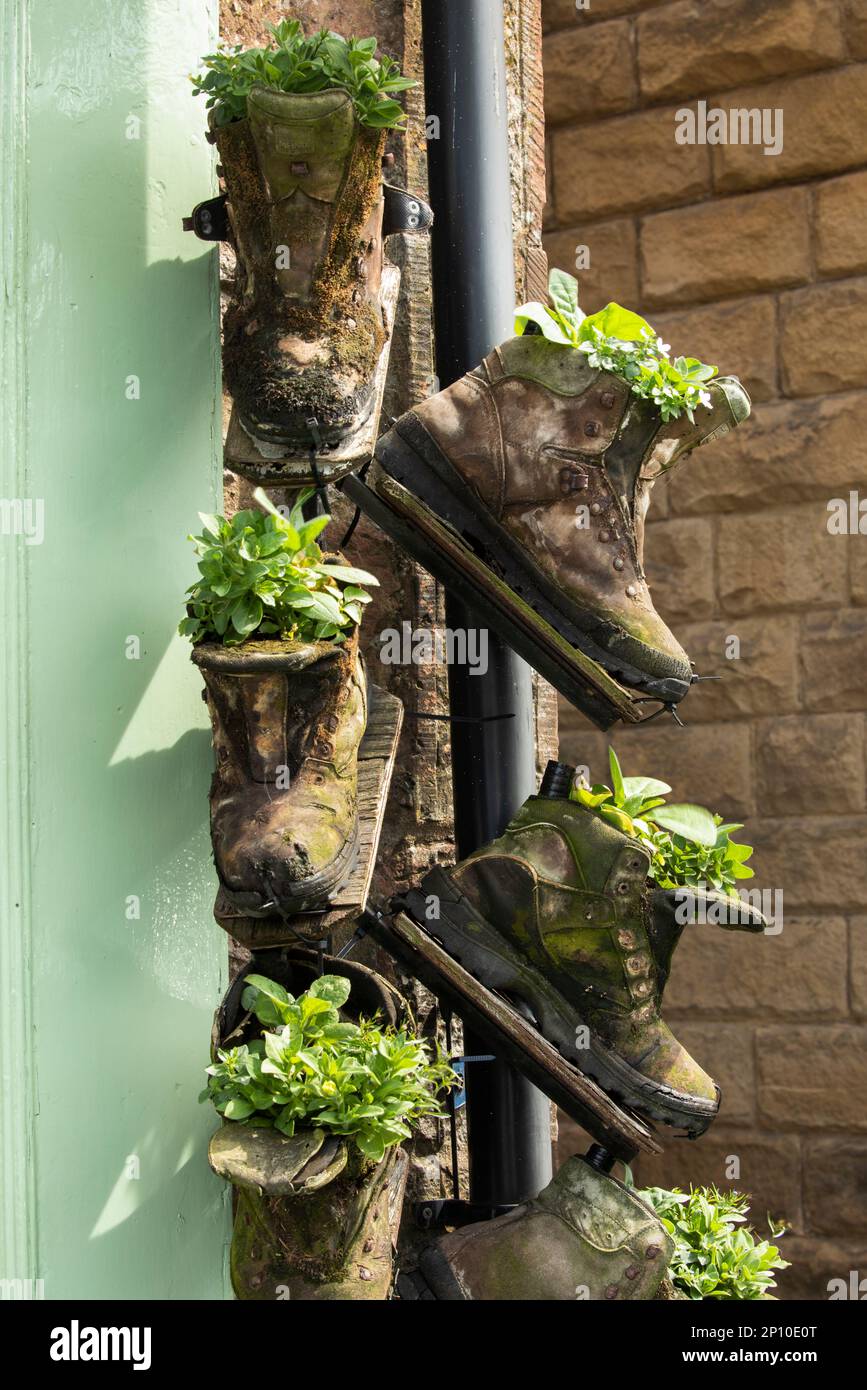 Unusual plant pots hi-res stock photography and images - Alamy