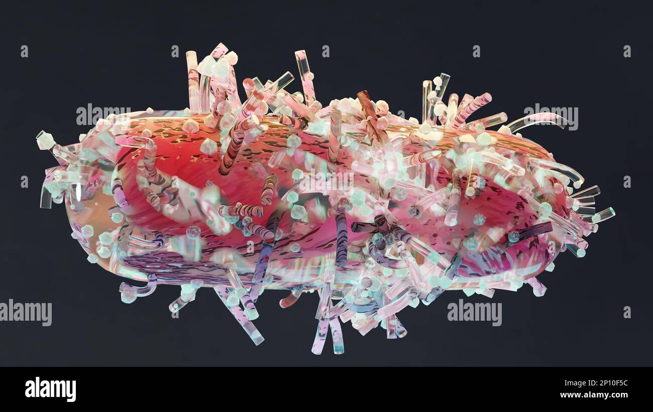 Peritrichous Bacteria with lot of flagellum, bacteria with long tails ...