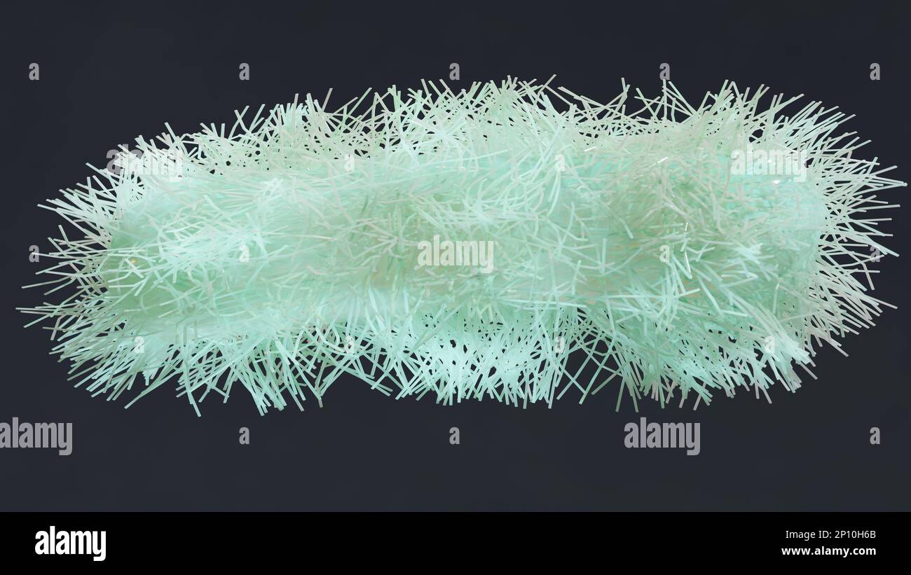 Peritrichous Bacteria with lot of flagellum, bacteria with long tails ...