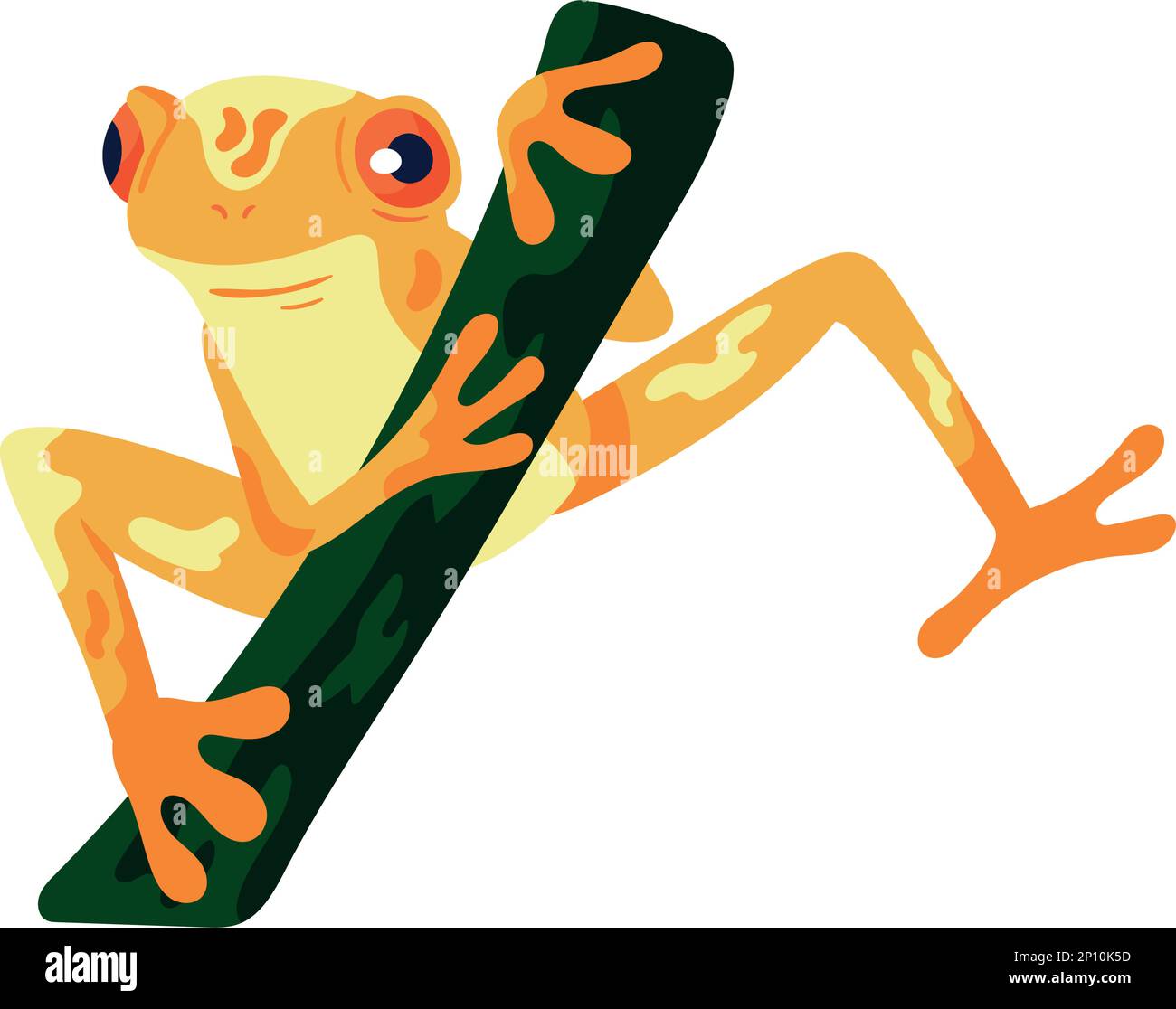 Hanging frog Stock Vector Images - Alamy