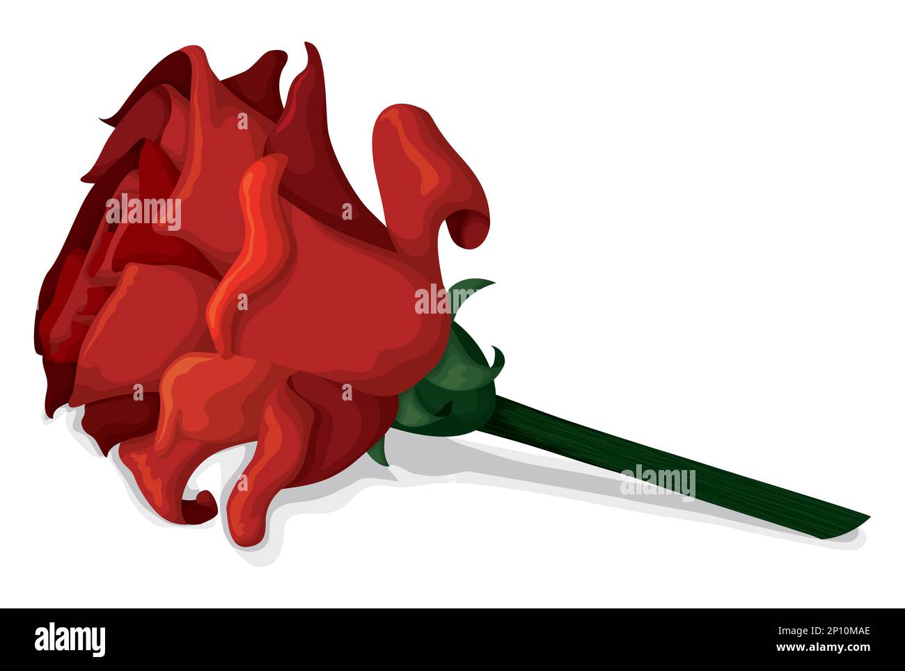 Red rose with long stem in cartoon style, isolated over white ...