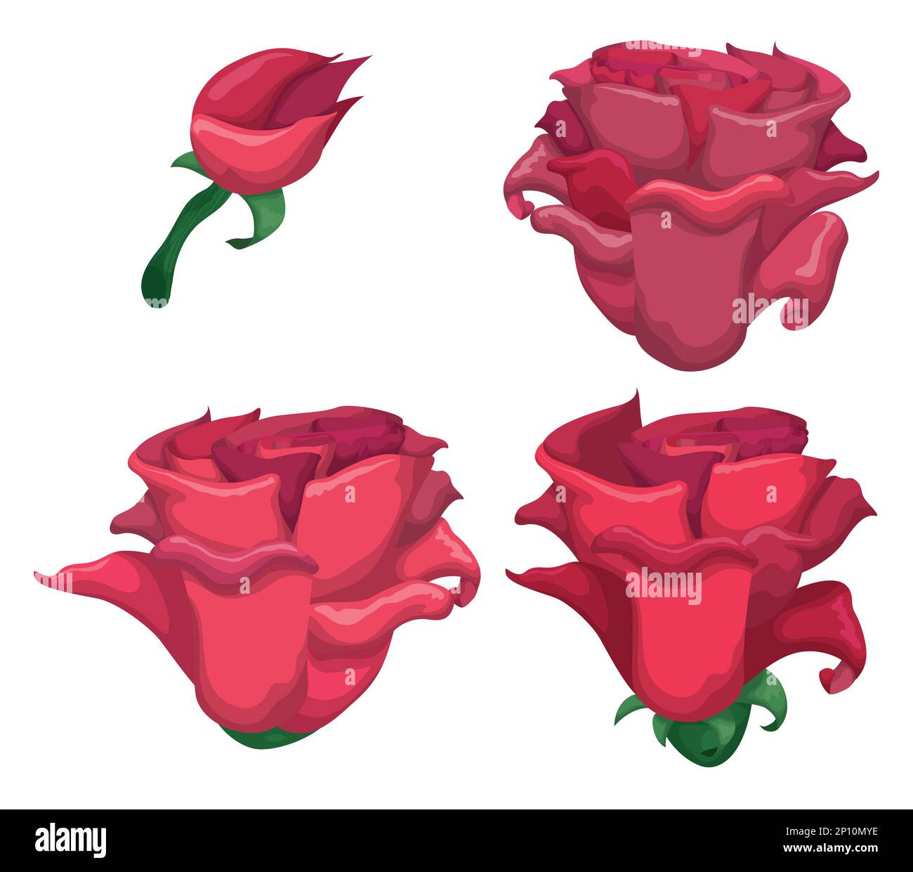 Pink rose flowers over Stock Vector Images - Alamy