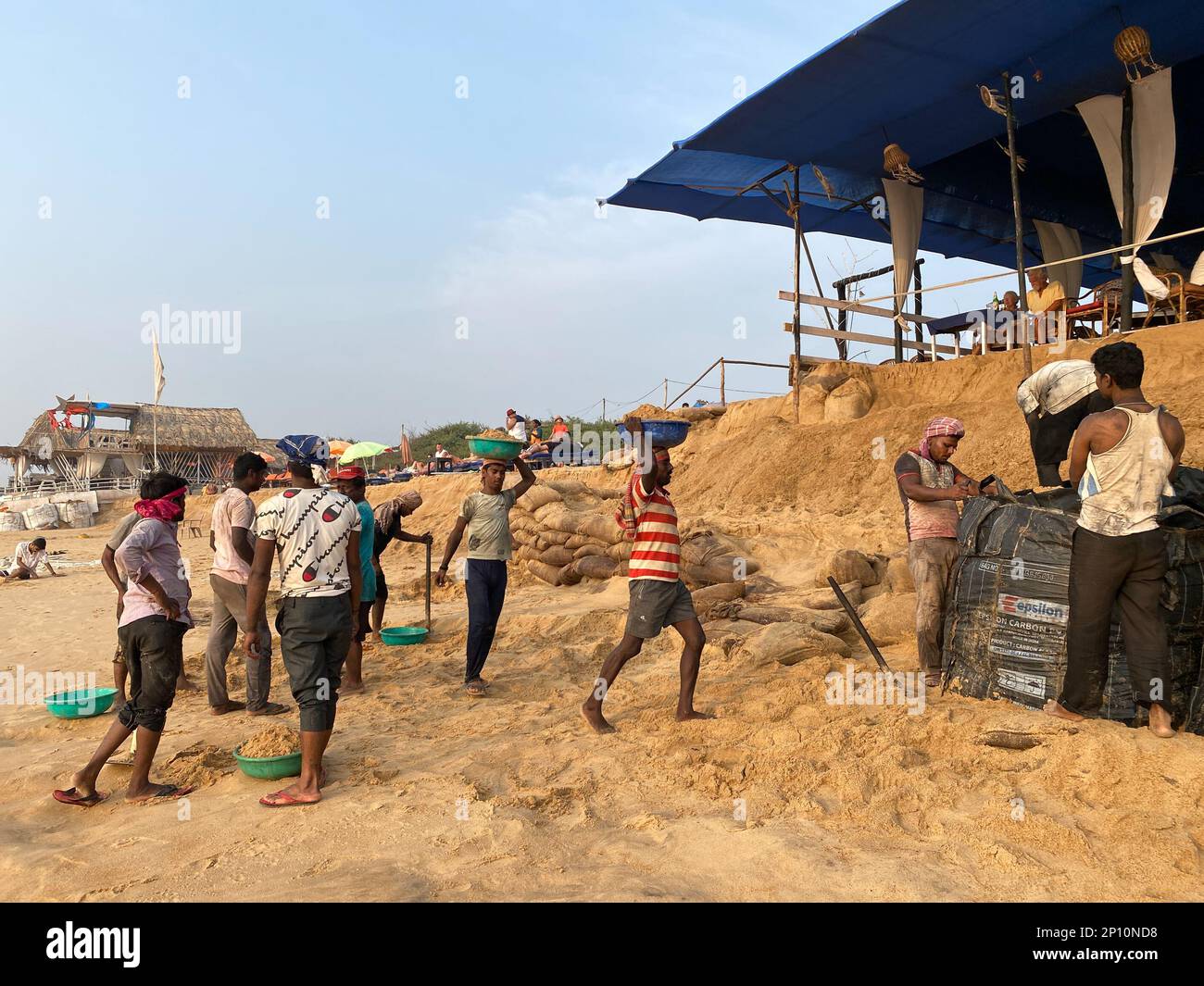 Candolim, Goa, India - January 2023: A team of workers digging the sand ...