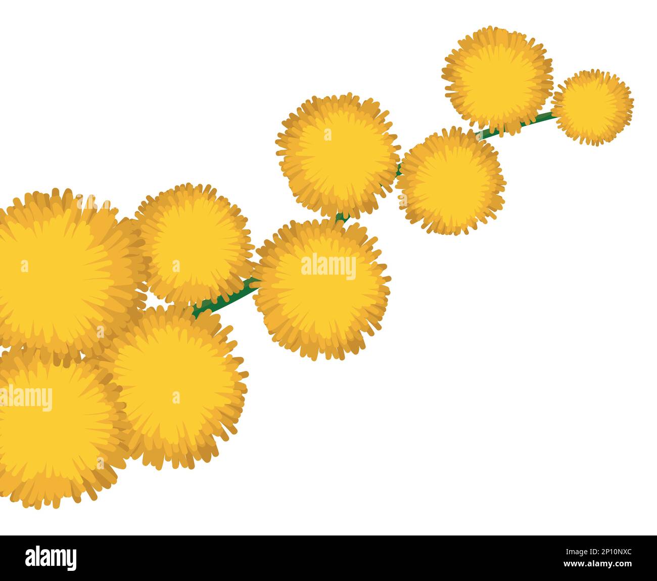 Italy close up view Stock Vector Images - Alamy