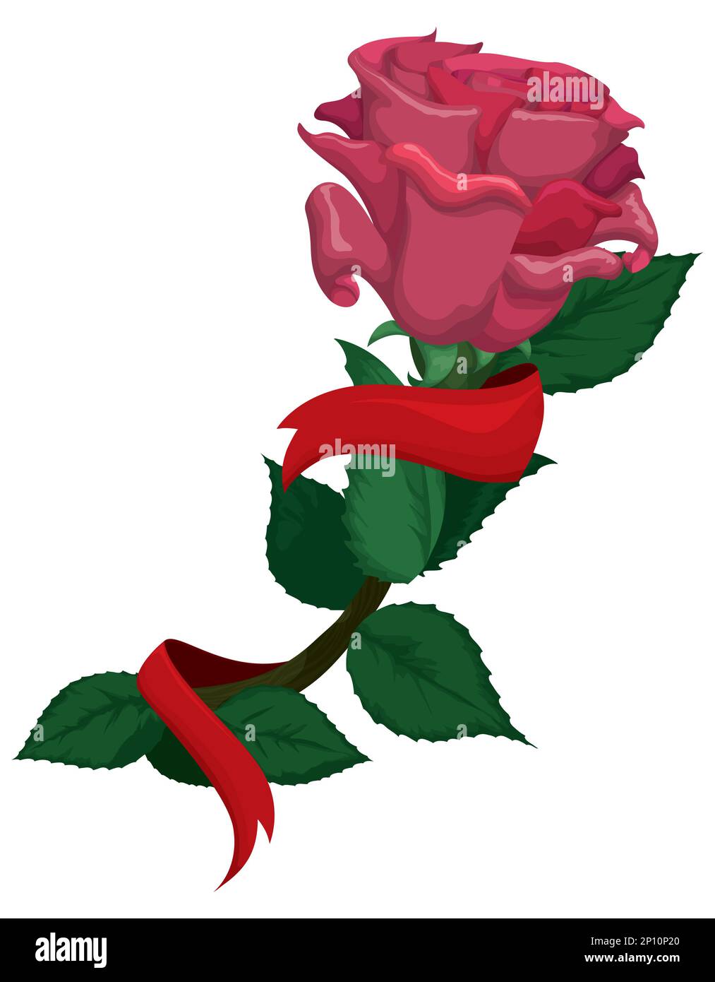 Isolated pink rose with red ribbon wrapped around the stem and leaves ...