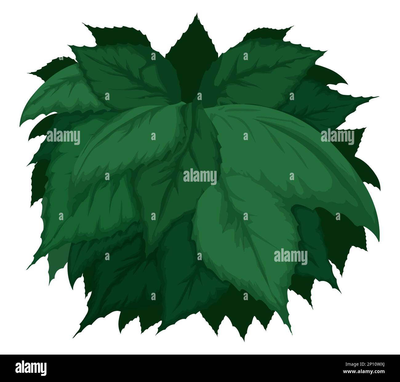 Round bush with many green leaves. Cartoon design over white background ...