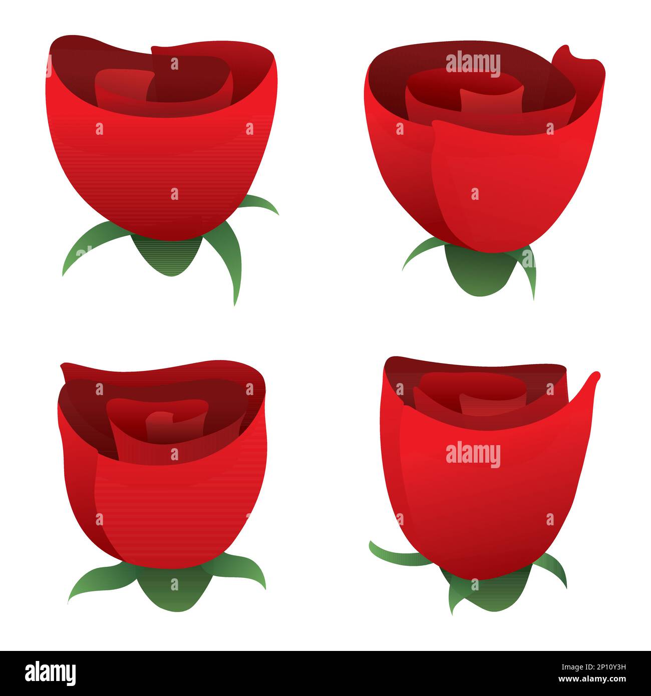 Petal sepal sepals Cut Out Stock Images & Pictures - Alamy