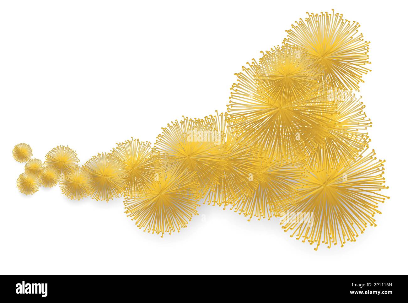 Isolated design of yellow mimosa flower heads with different sizes in ...