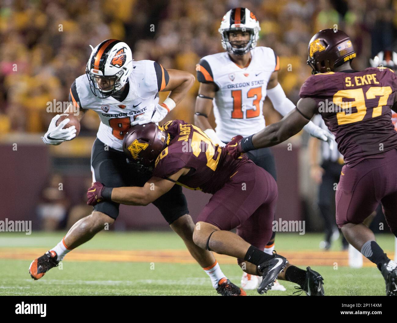Sept. 1, 2016; Noah Togiai (81) of the Oregon State Beavers is stood up ...