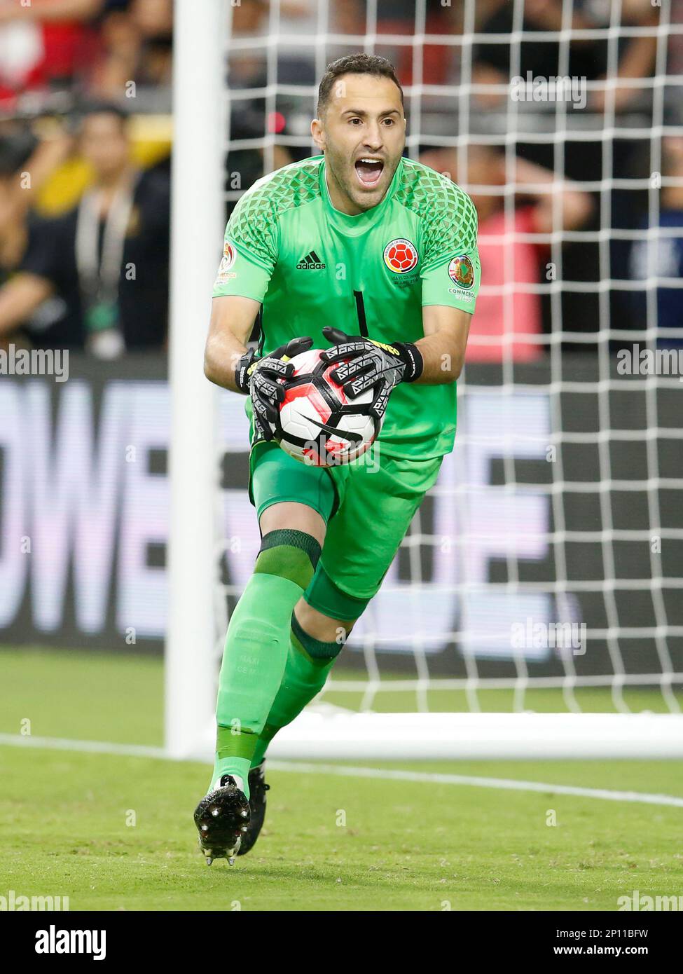 Colombia goalkeeper David Ospina (1) against United States during the ...