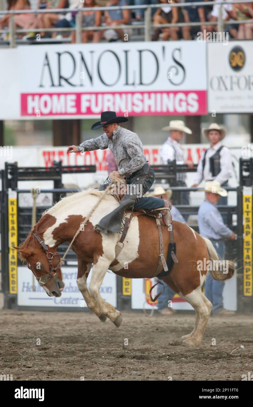 26 Aug 2016: Cooper DeWitt scored a 73 during the Saddle Bronc Riding ...