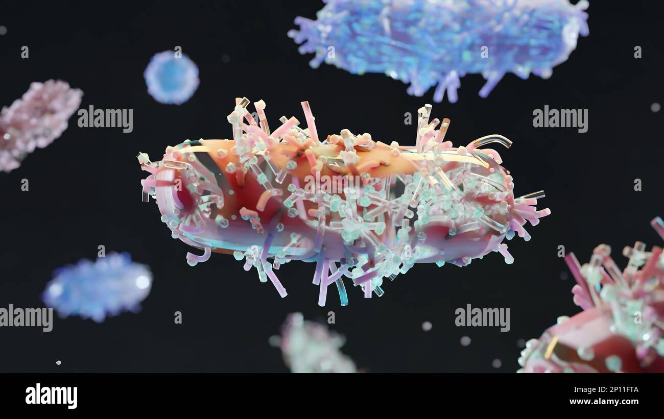 Peritrichous Bacteria with lot of flagellum, bacteria with long tails ...