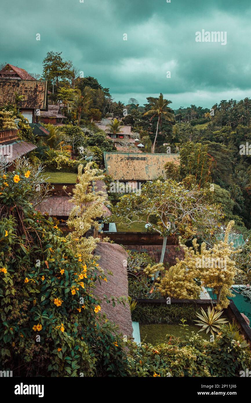 Cottages in the tropical forest, Ubud, Bali island, Indonesia. Sunset ...
