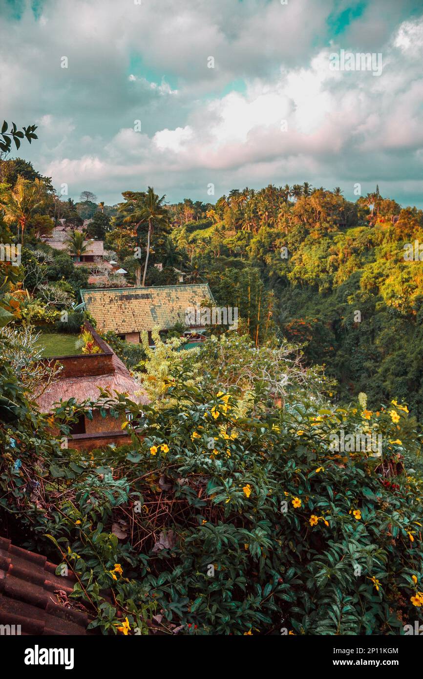 Cottages in the tropical forest, Ubud, Bali island, Indonesia. Sunset ...