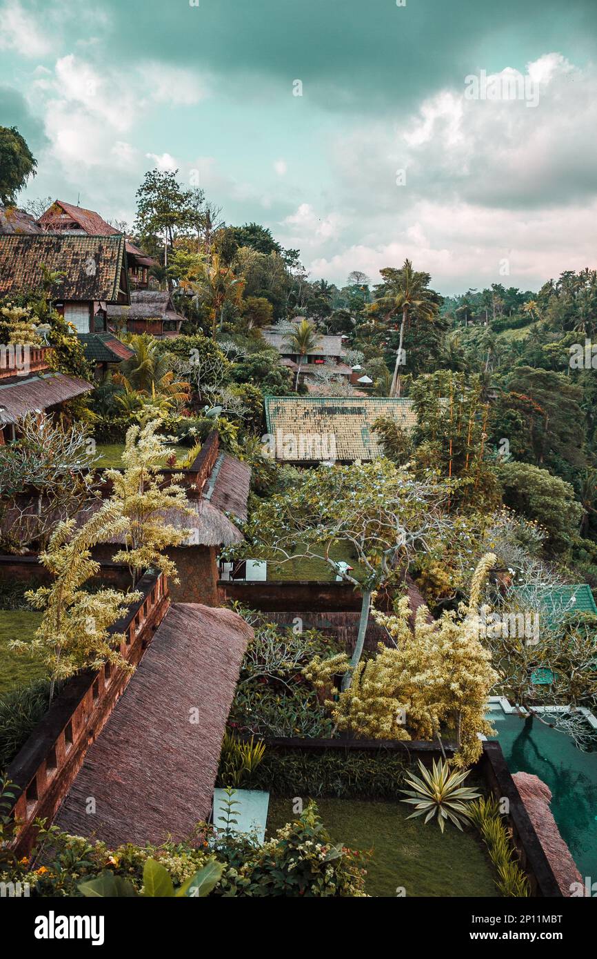 Cottages in the tropical forest, Ubud, Bali island, Indonesia. Sunset ...