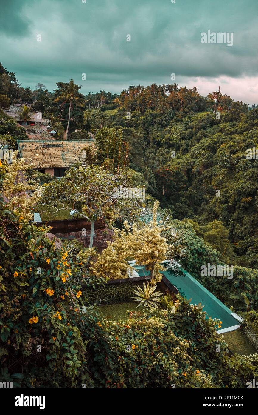Cottages in the tropical forest, Ubud, Bali island, Indonesia. Sunset ...