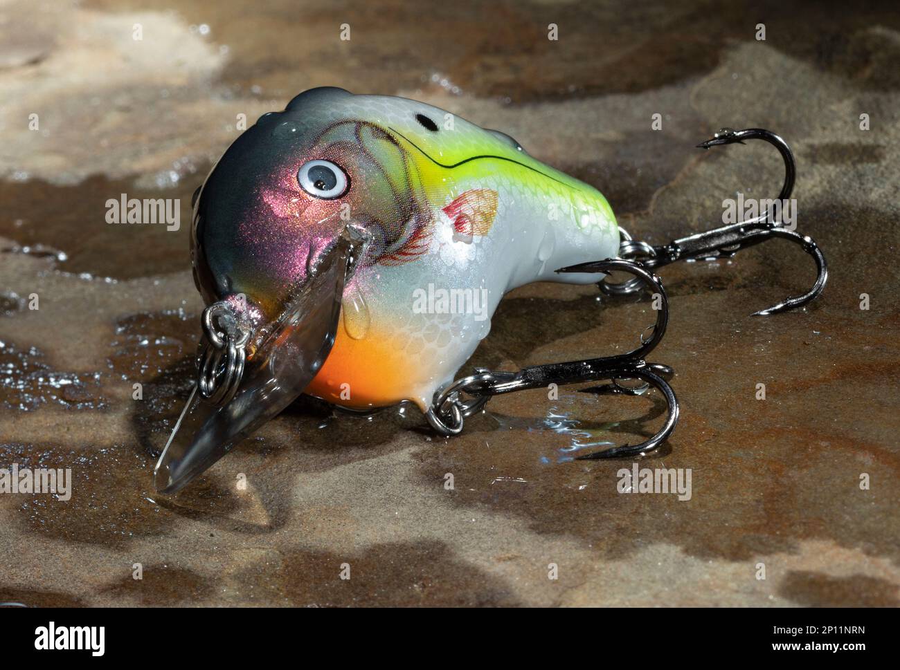 Large fishing bait that is wet on a stone surface Stock Photo - Alamy