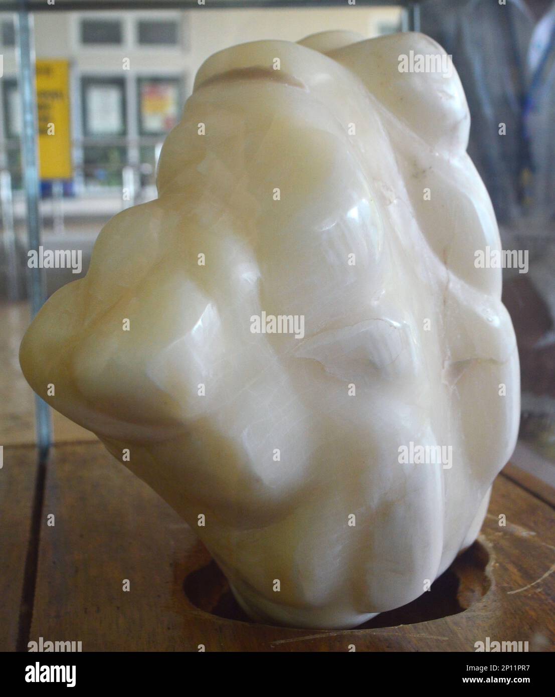 In this photo provided by Puerto Princesa Tourism Office a giant pearl measuring 30cm wide 1ft 67cm long 2.2ft and weighing 34kg 75lb is displayed in the lobby of the Puerto Princesa