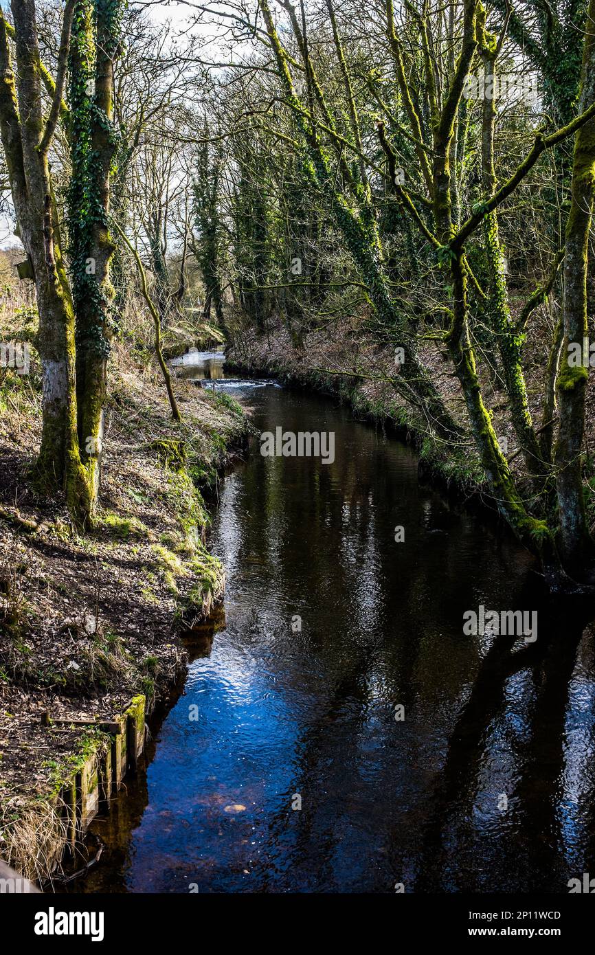 Yarrow valley park hi-res stock photography and images - Alamy
