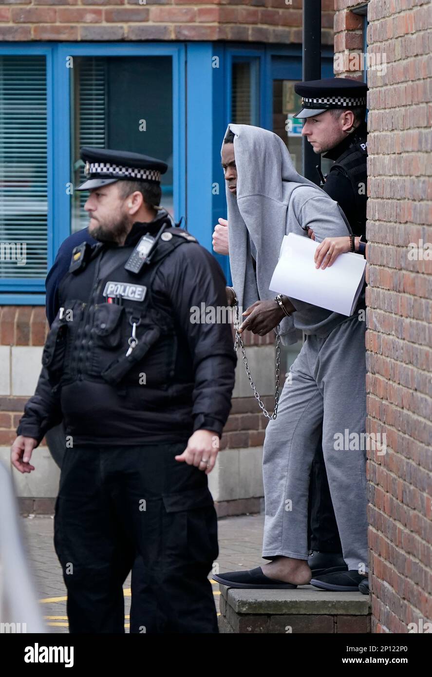 Woodland ampics hi-res stock photography and images - Alamy