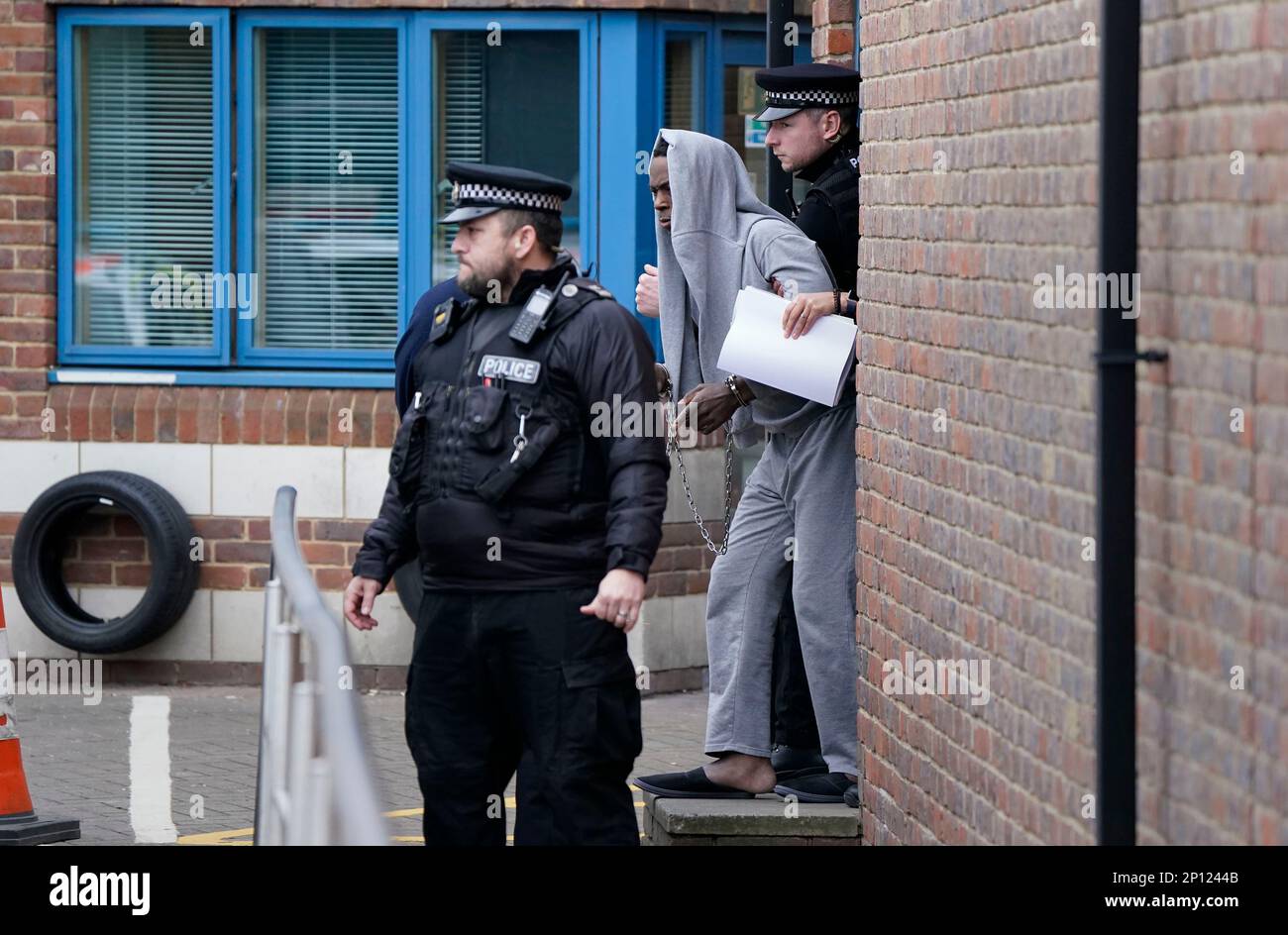 Woodland ampics hi-res stock photography and images - Alamy