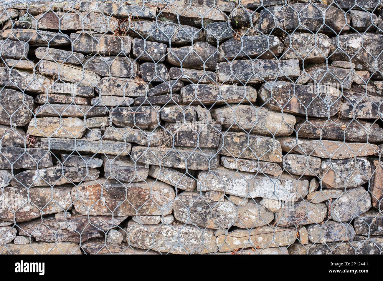 Metal mesh texture hi-res stock photography and images - Alamy