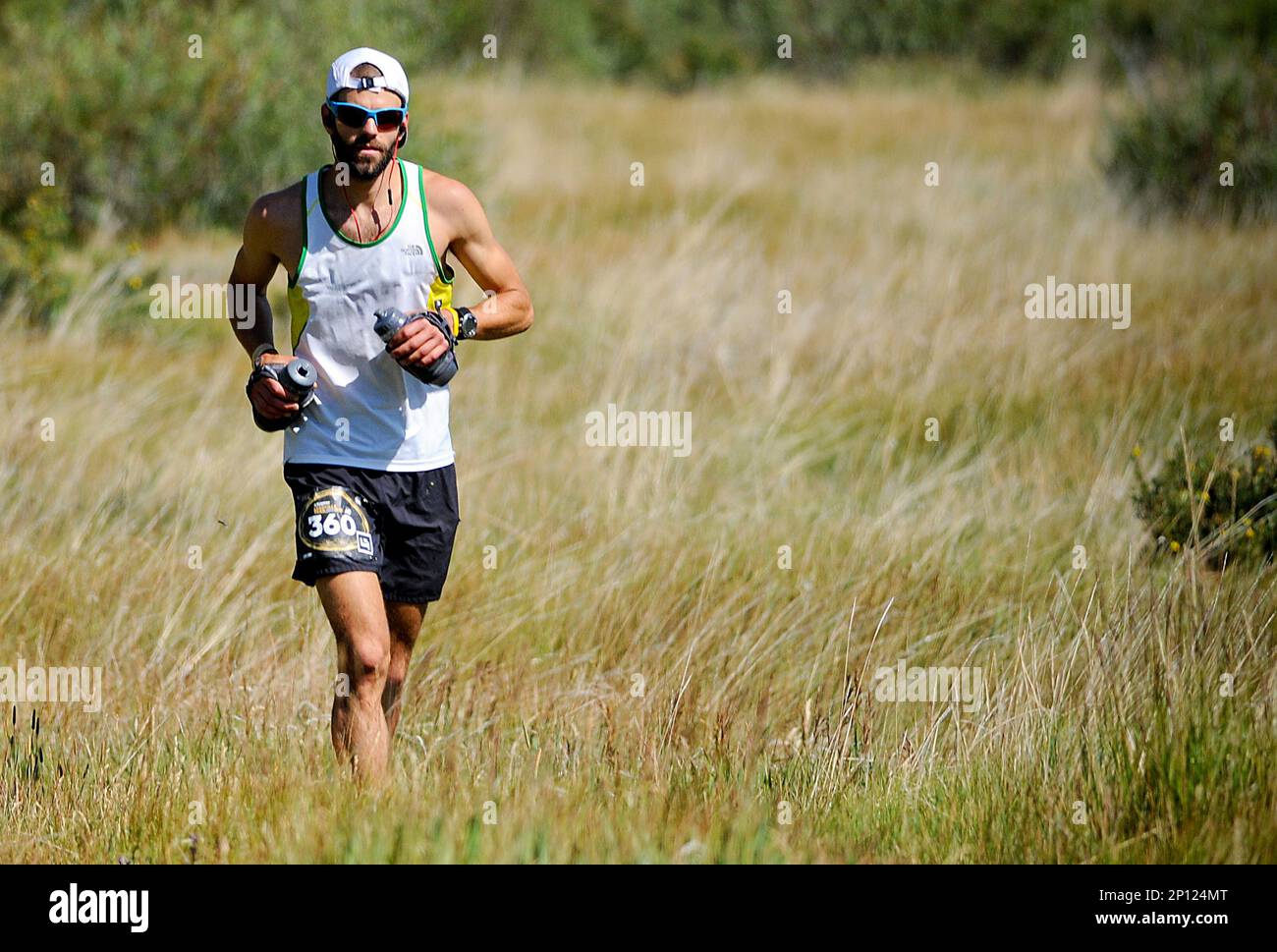 August 20, 2016 - Leadville, Colorado, U.S. - Ultra distance runner ...