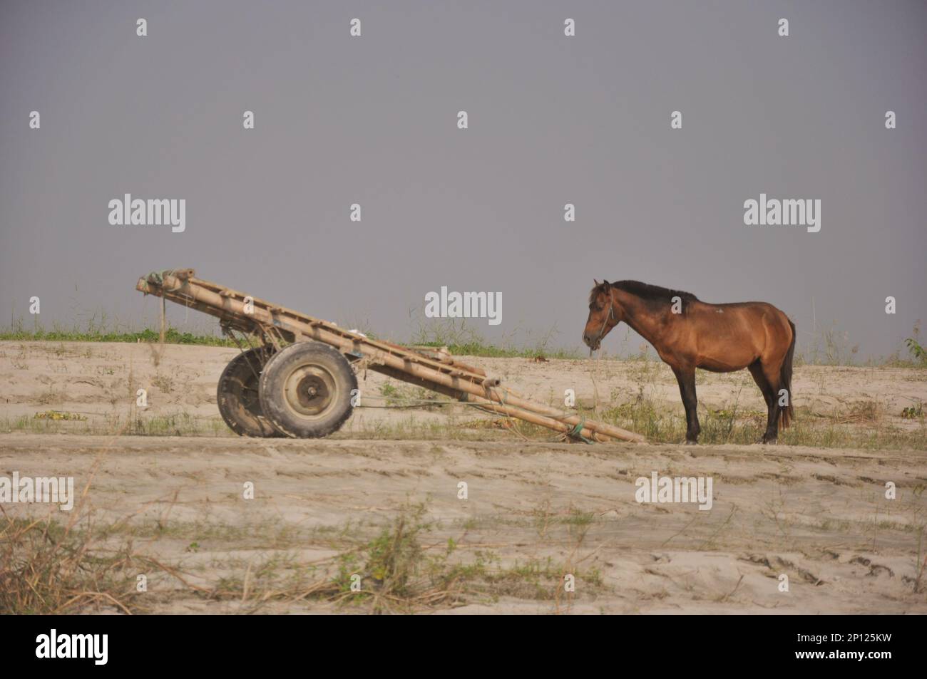 Ghorar gari hi-res stock photography and images - Alamy