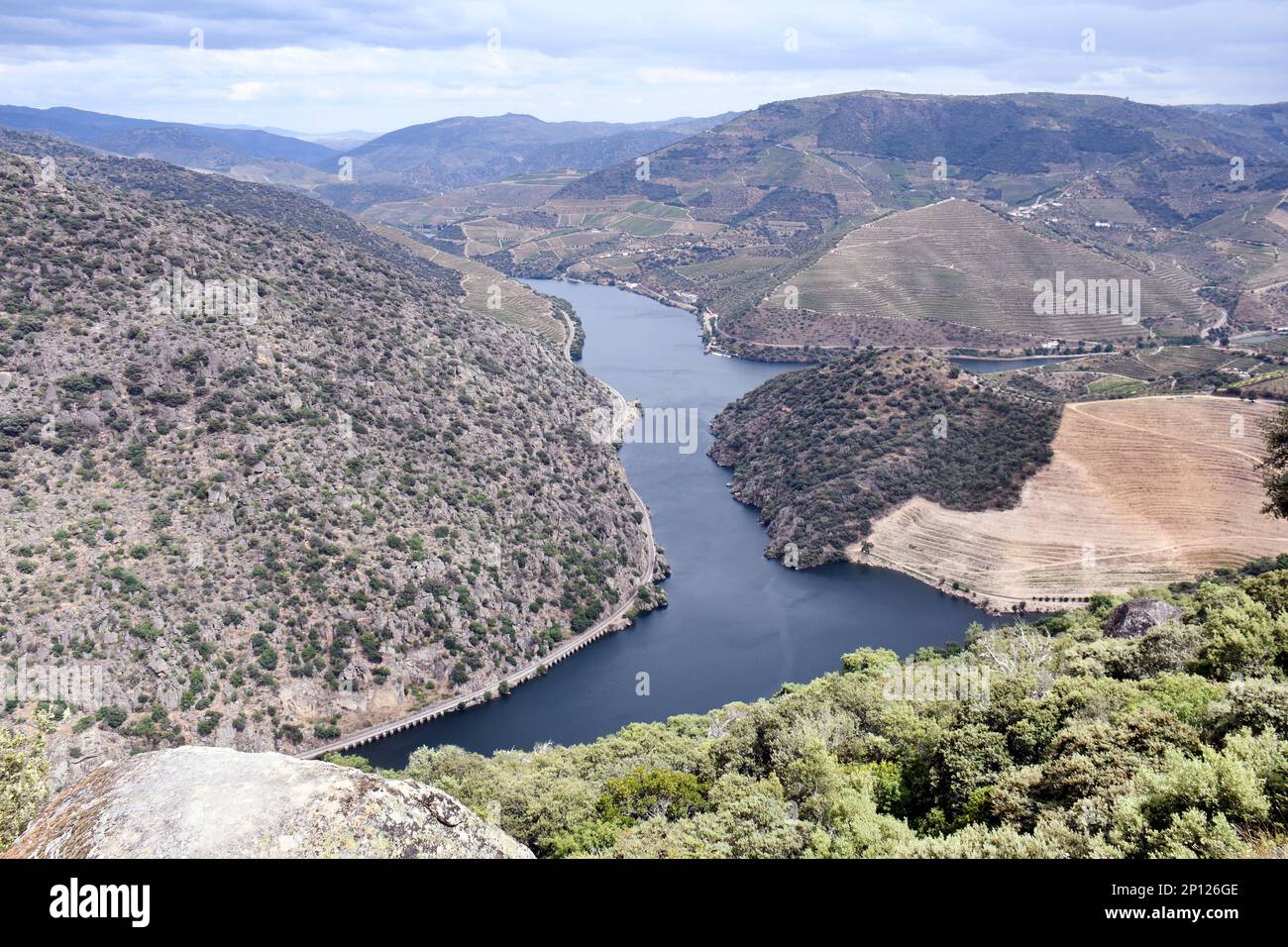 Wineyards of douro hi-res stock photography and images - Alamy