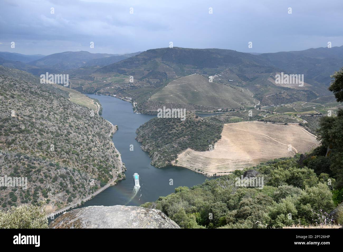 panoramic view of Douro river valley wineyards, Portugal Stock Photo ...