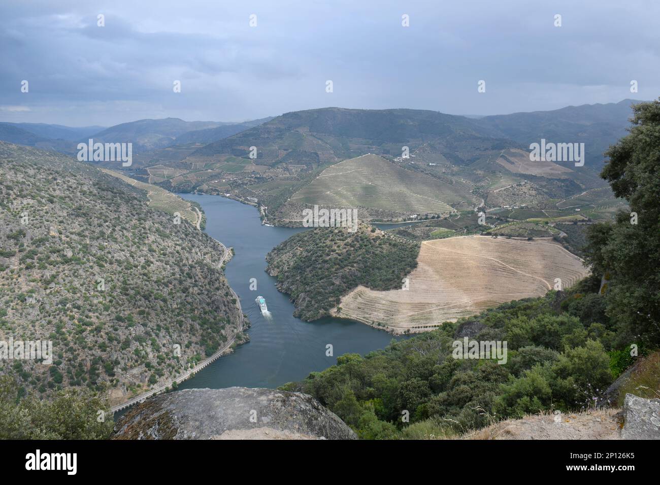 Wineyards of douro hi-res stock photography and images - Alamy