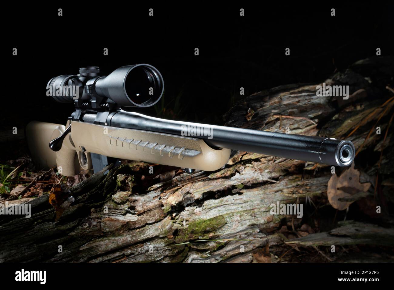 Bolt action rifle with high powered rifle in the forest Stock Photo - Alamy