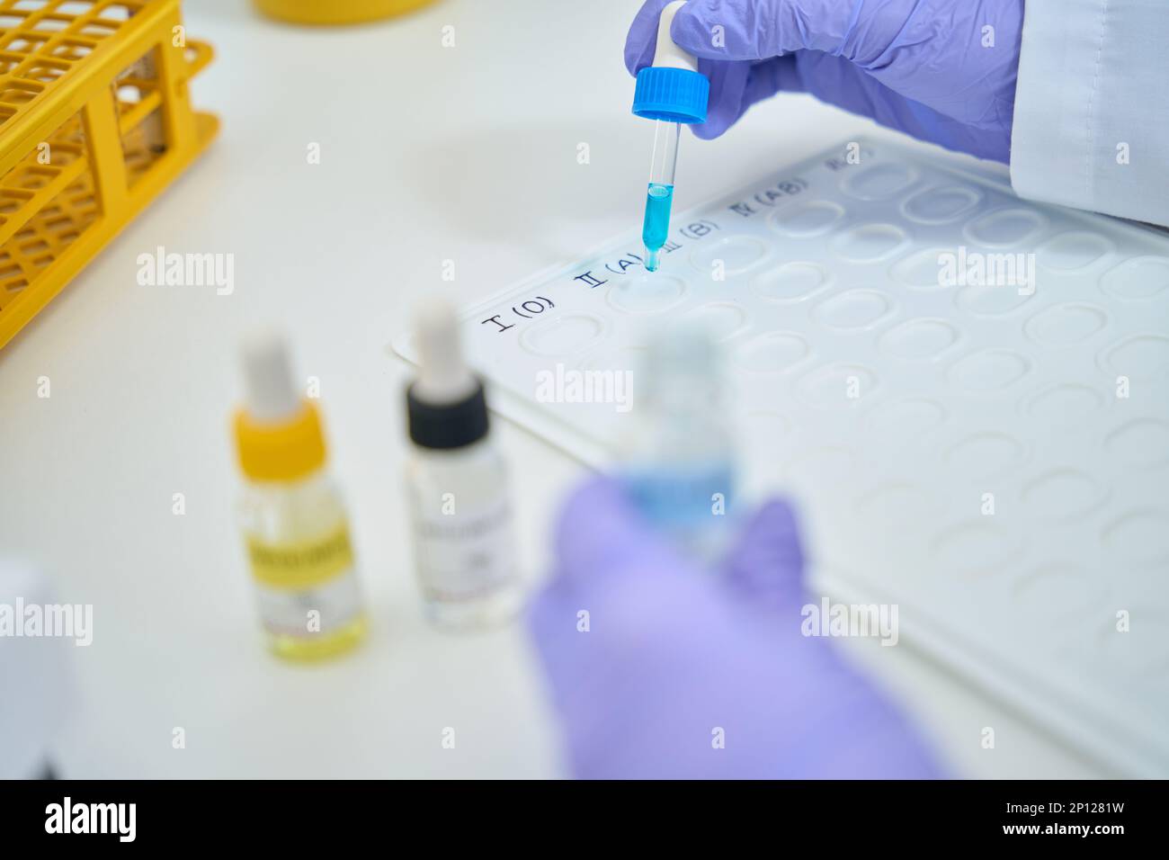 Llaboratory assistant drops blue reagent from pipette onto indicator ...