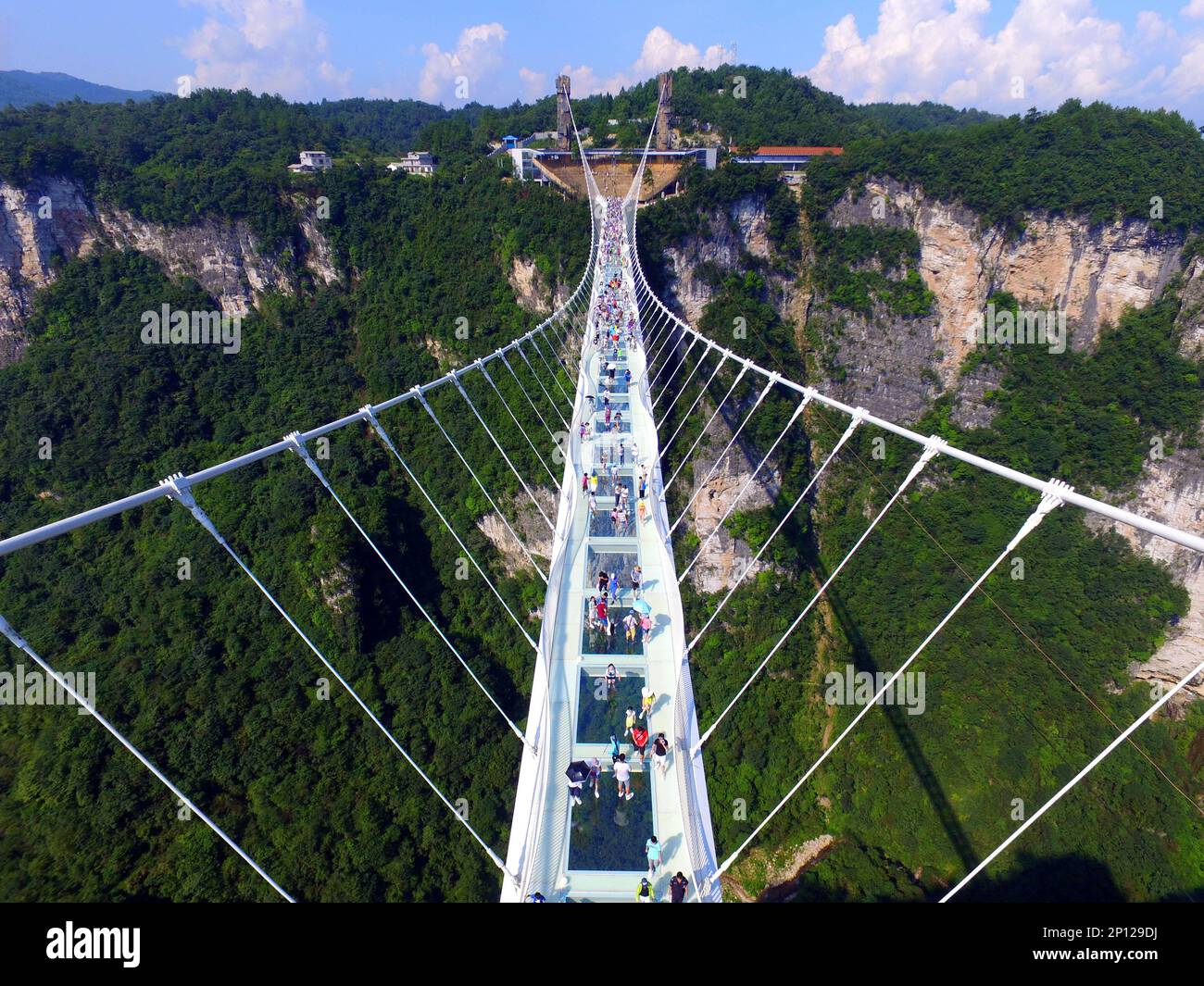 Visitors walk across a glass-floor suspension bridge in Zhangjiajie in ...