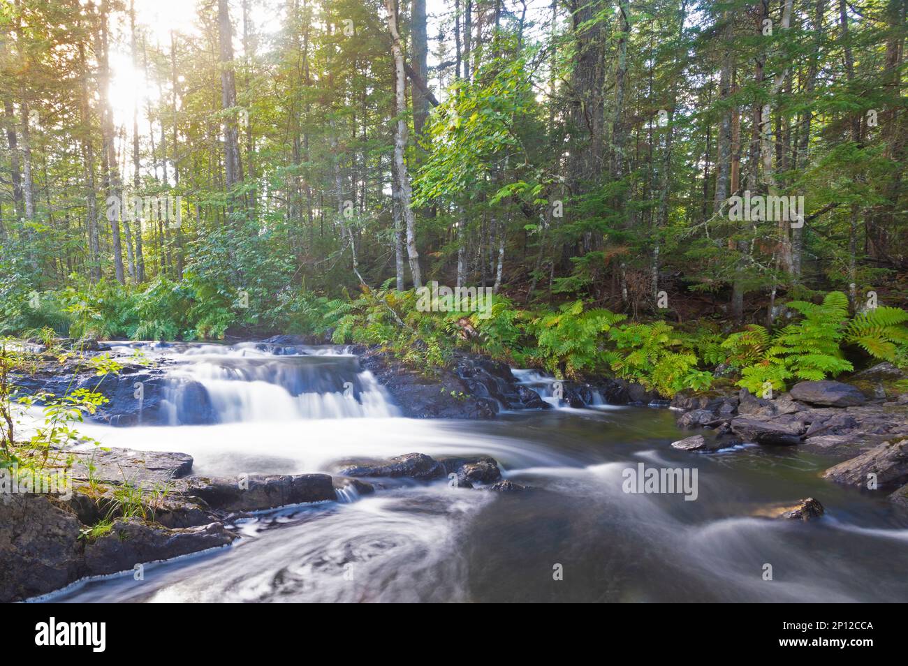 Stream with waterfalls with sun peeking through the forst in Northern ...