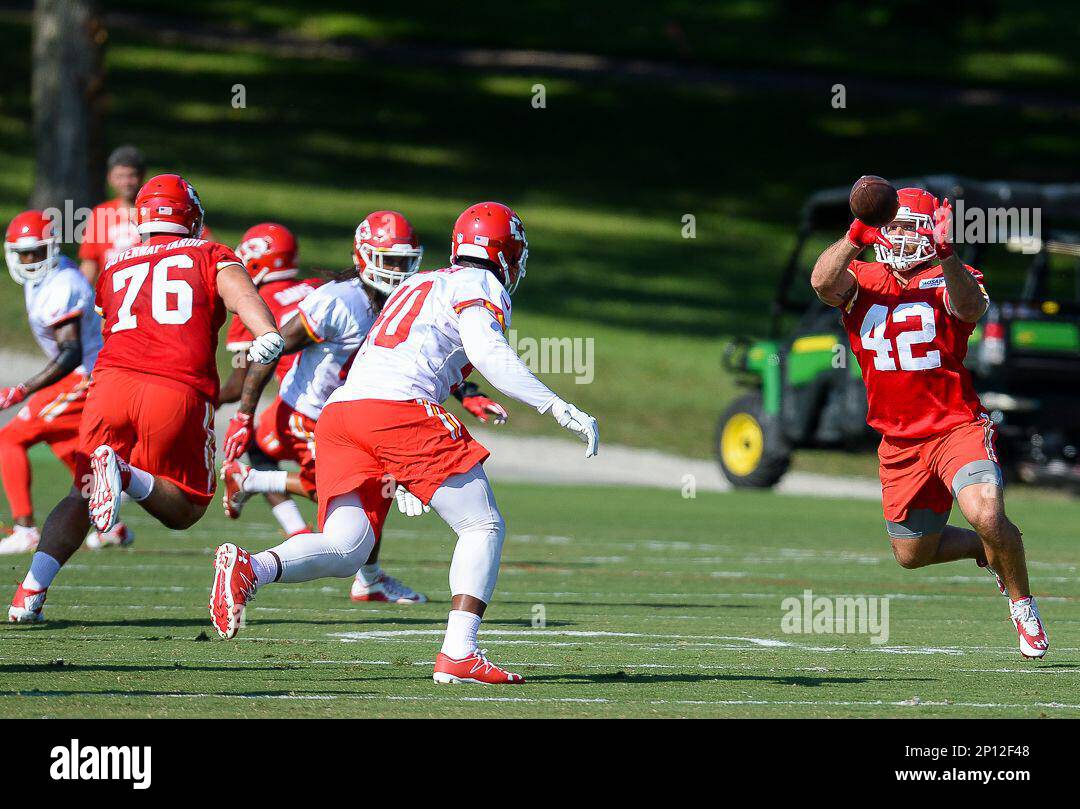 Kansas City Chiefs running back Anthony Sherman catches the ball during ...