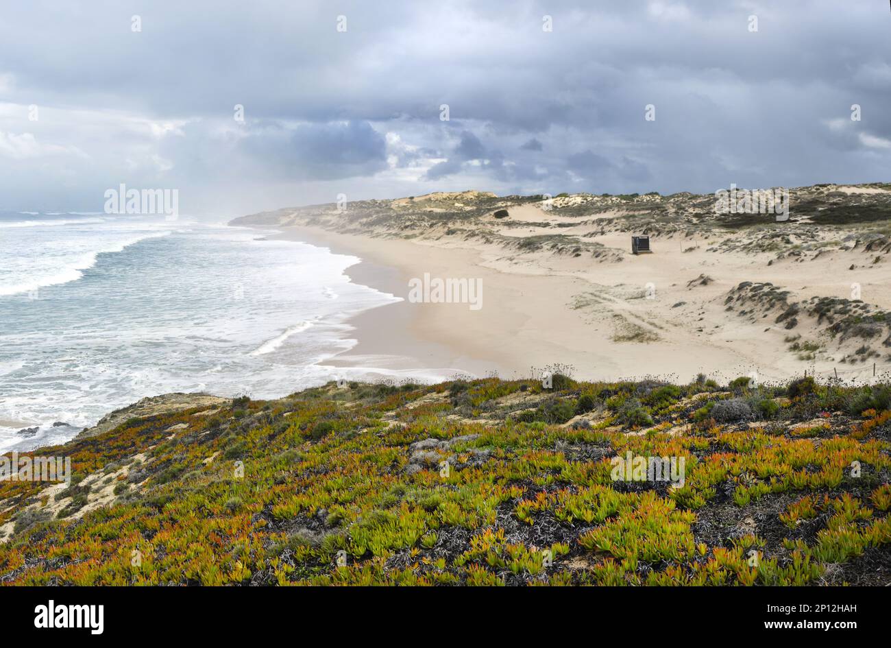 Praia do Malhao beach, Alentejo, Natural Park, portugal Stock Photo - Alamy