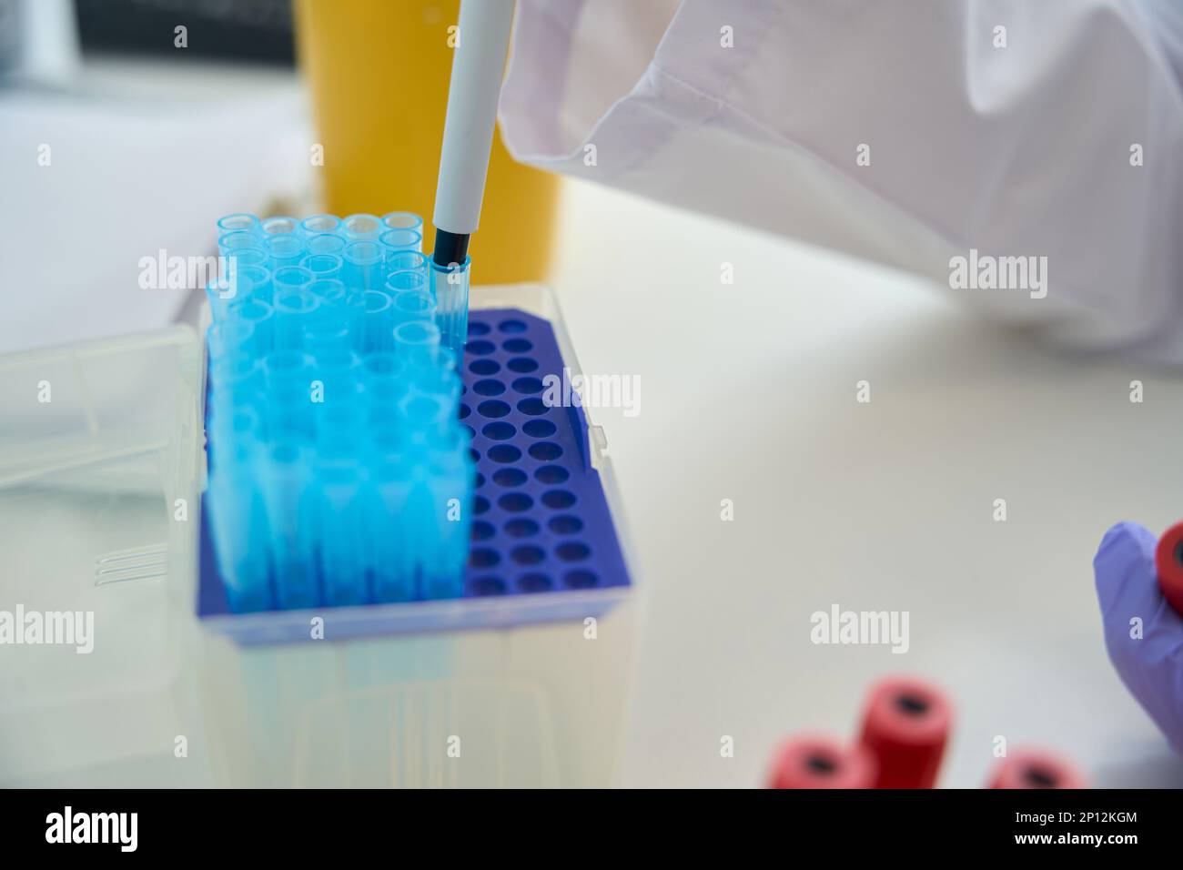 Conducting a diagnostic analysis of biomaterial in the laboratory Stock ...