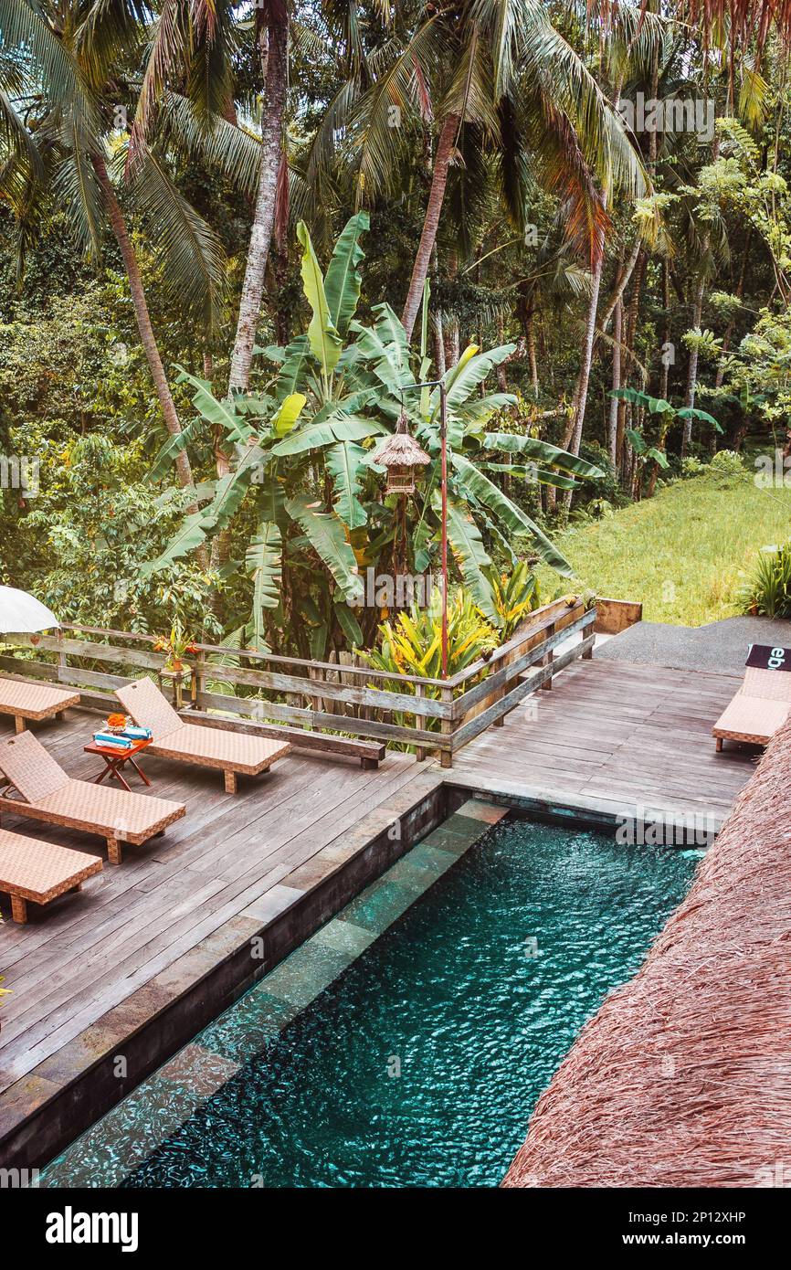 Jungle pool in Ubud, Bali. Tropical landscape in Indonesia Stock Photo ...