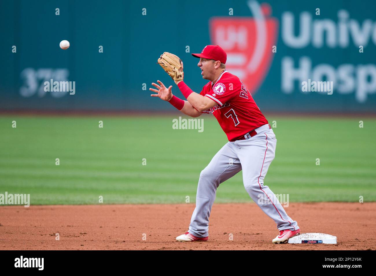 11 August 2016: Los Angeles Angels of Anaheim Infield Cliff Pennington ...